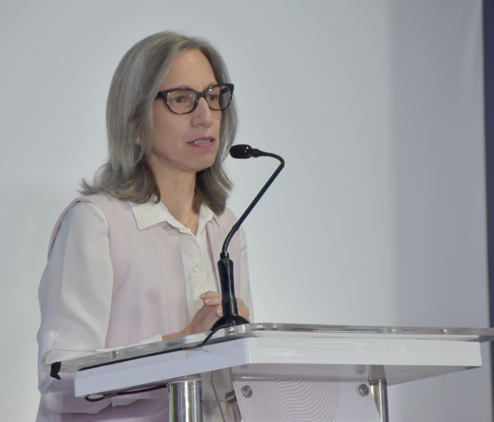 Minerd presenta Programa Nacional de Inducción 2024-2025